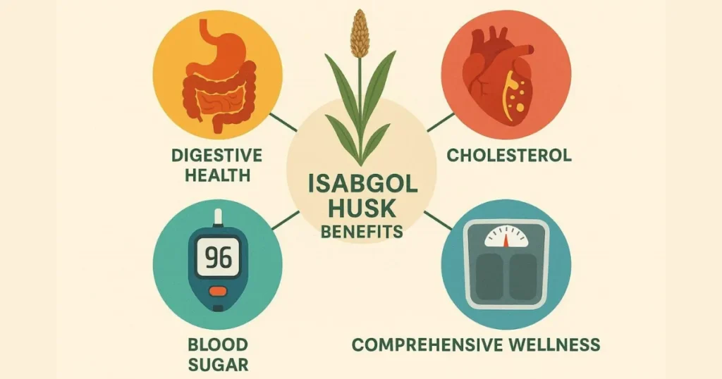 Isabgol Husk Benefits and Side Effects | Expert Guide - 2026